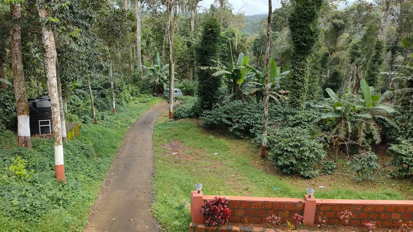 Navut - Where Peace Beckons